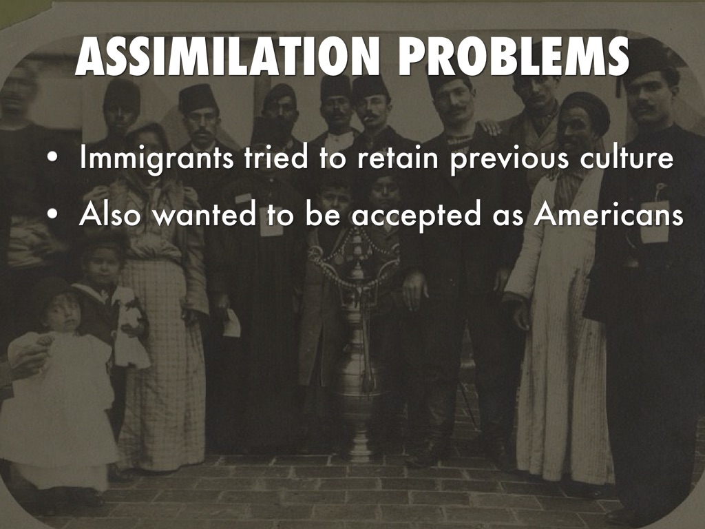 The Immigrant Experience by C Paulsen