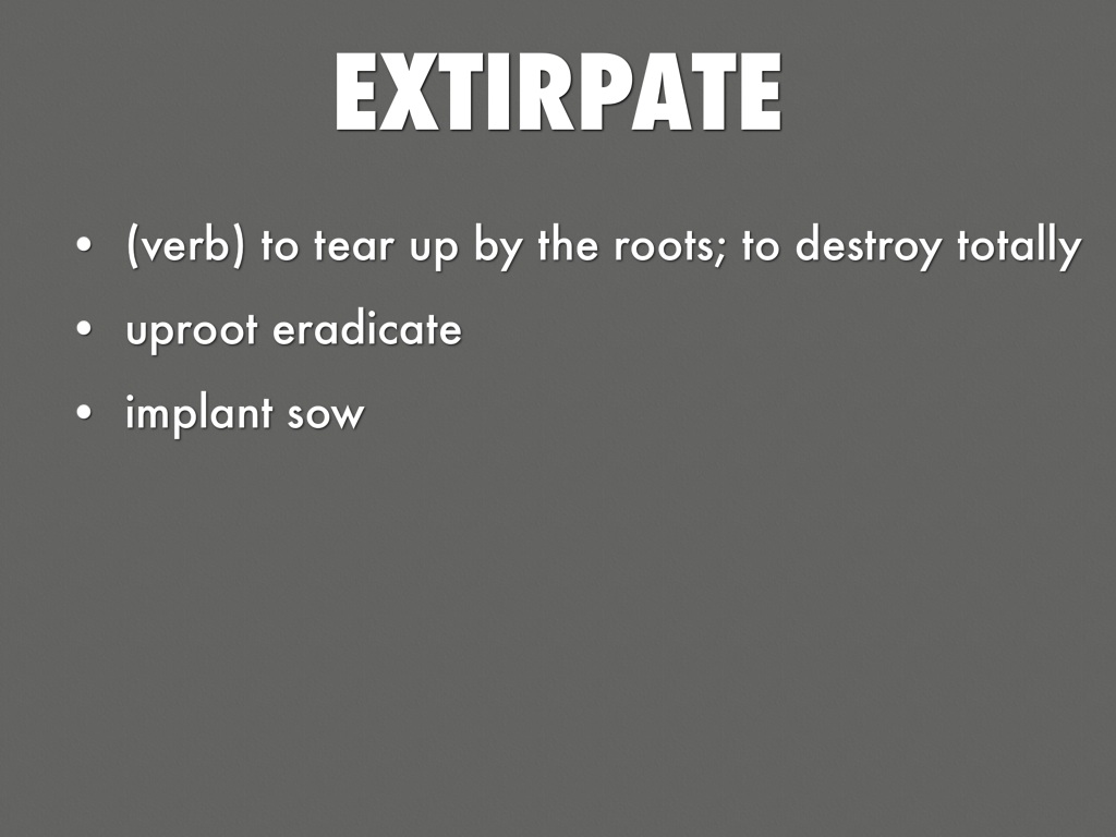 Unit 6 by Daniel Lafferty