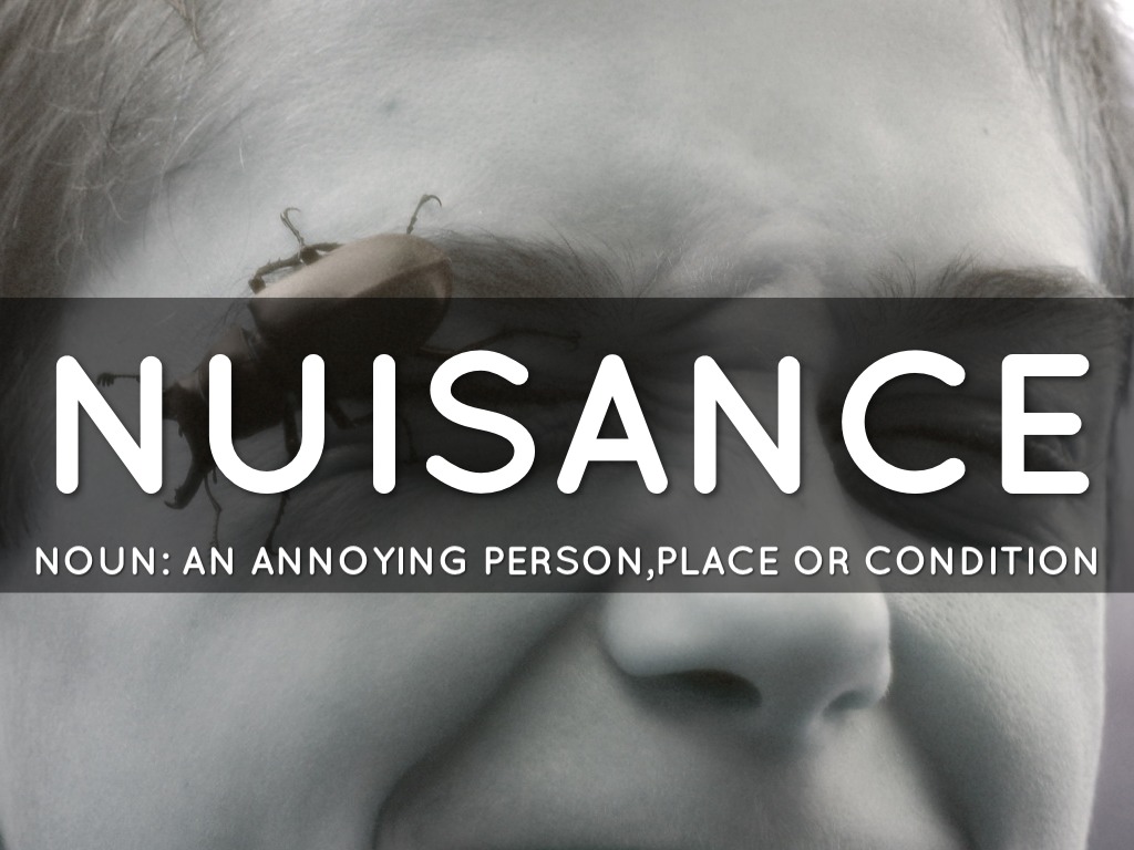 Vocabulary by Jonnie King