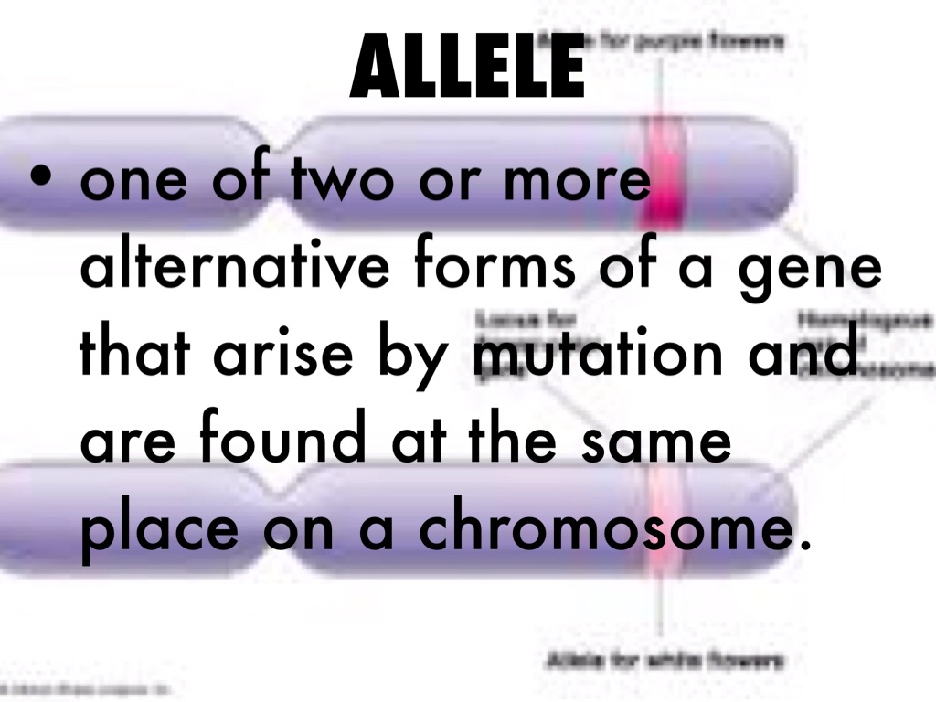 Science Vocabulary by Isaiah Gooden