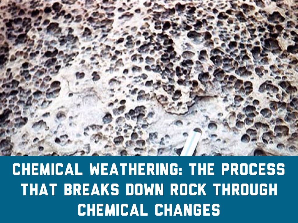 Snapshots by Kaci Johnson