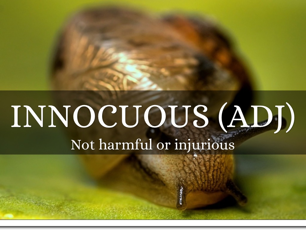 Vocabulary: Quarter One by Anna Youngs