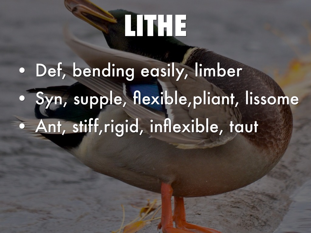 Unit 12 by osullivanmichael639