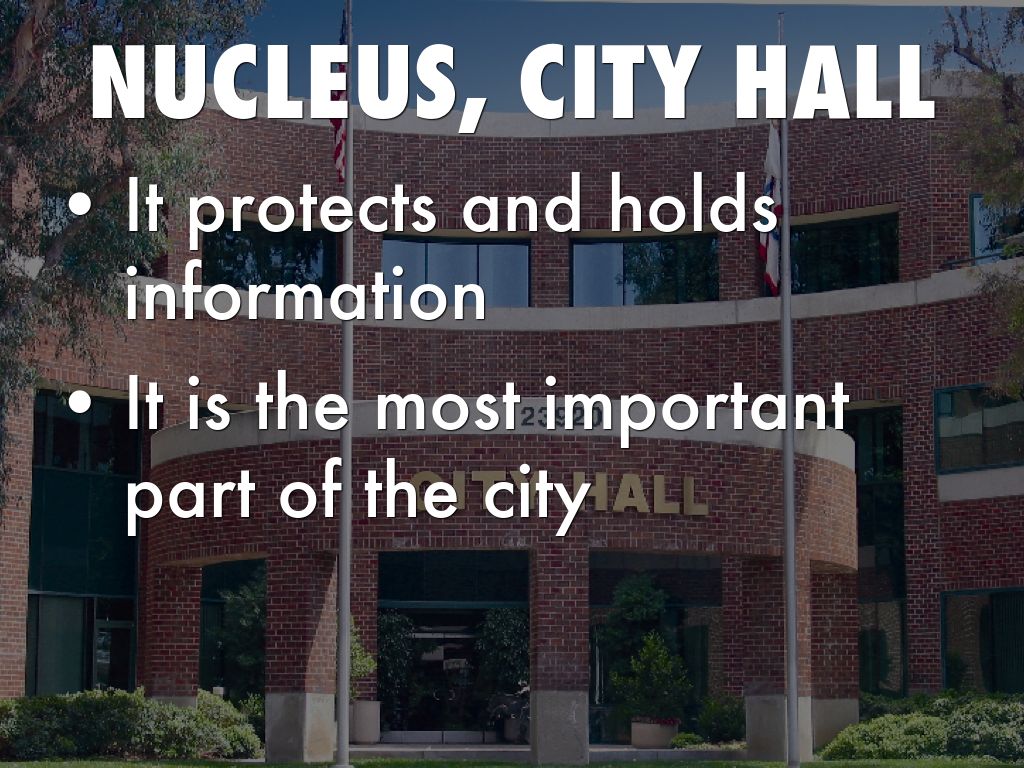 Miller, Morris 1 by Olivia Miller