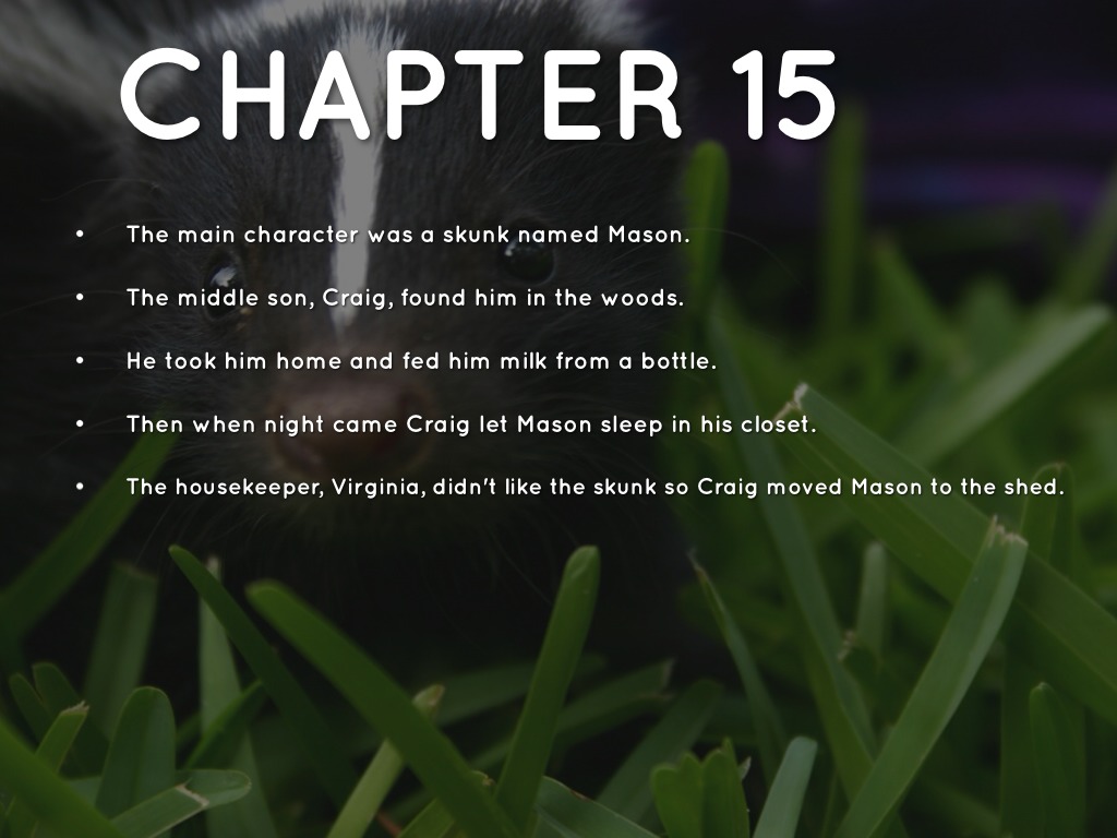 The Tarantula In My Purse by Natasha Lemoine