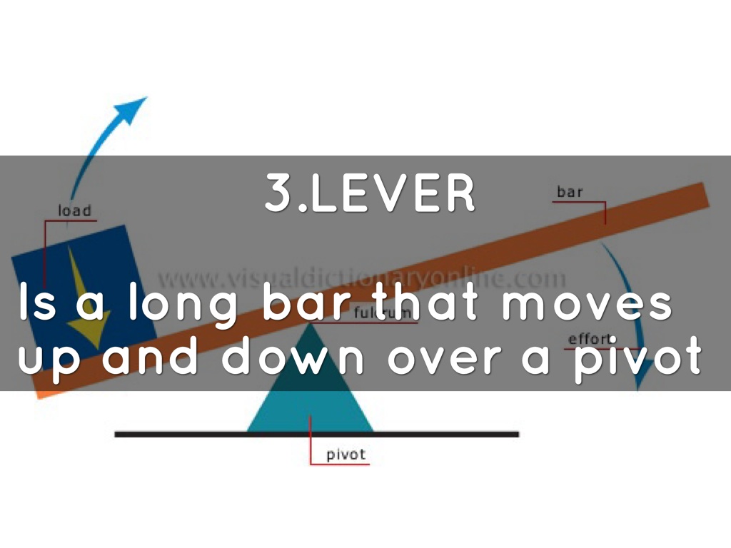 Proyecto Natural Science 3º B by Cristina CaJa