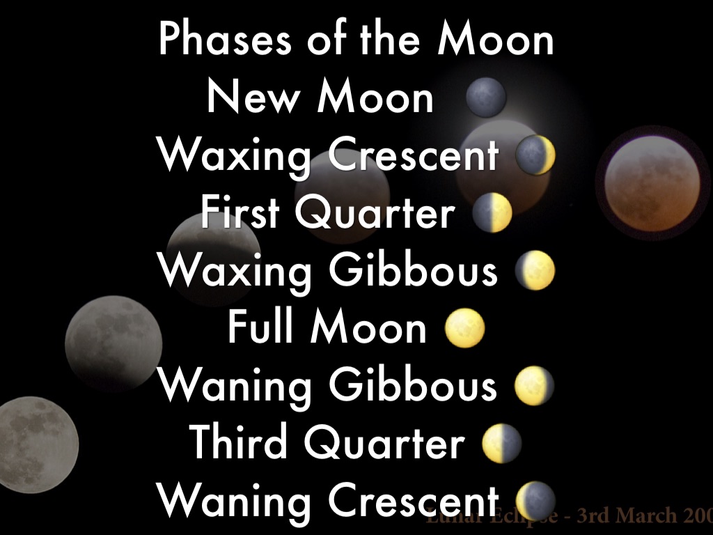 Phases of the Moon by Marybeth Mineo