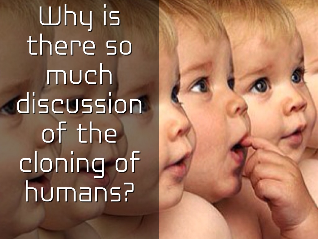 🌍CLONING🐑🐑 by Brooklyn Brunhoeber