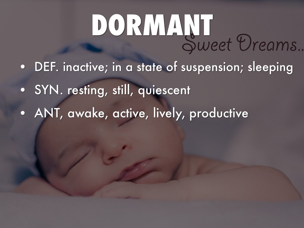 Unit 15 Vocab by Vinny Cancilla