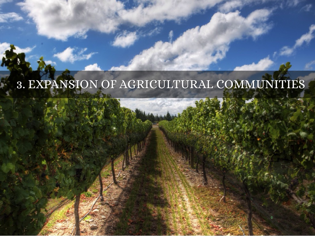 Republic Of Calpon by Mckenzie Grigg