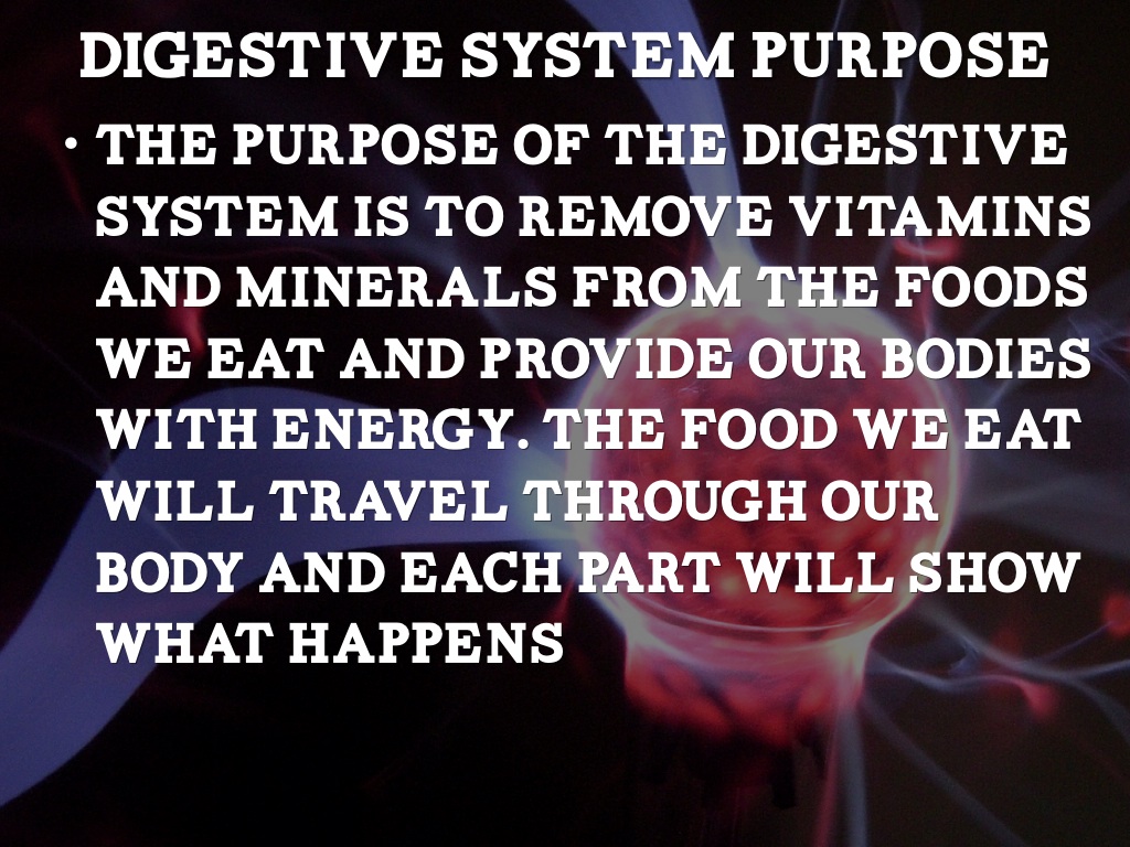 Digestive System Story by Frank Janas