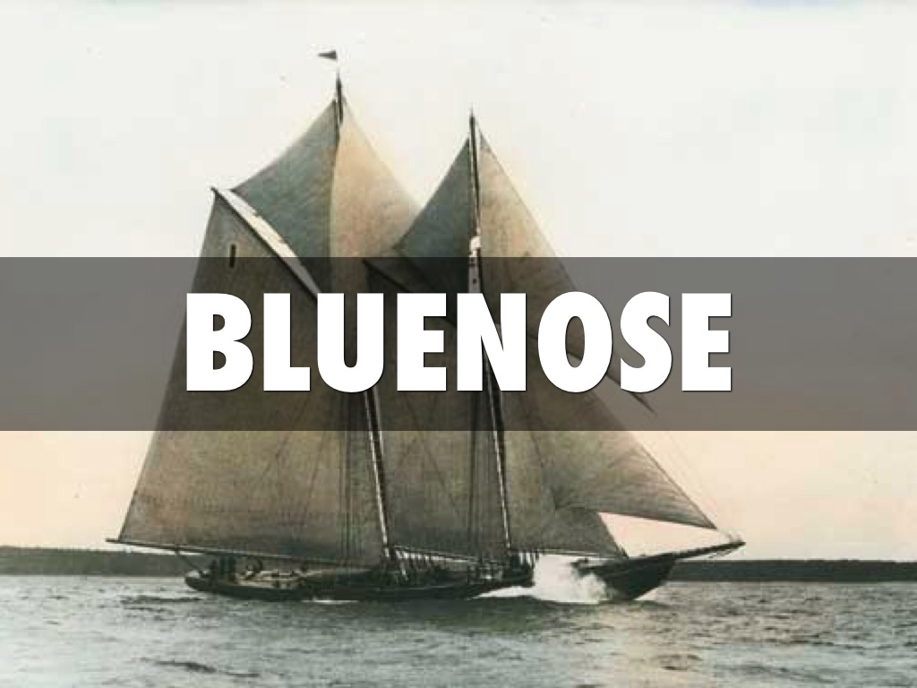 Bluenose by Williane