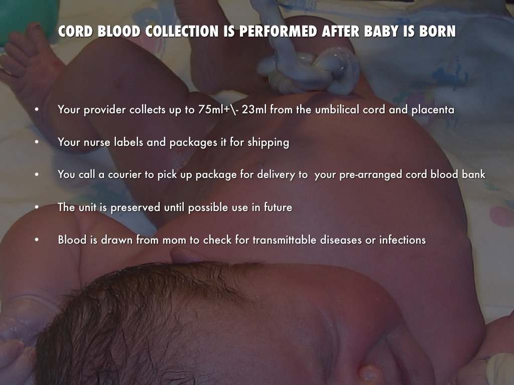 Cord Blood Q&A by Tasha Poslaniec