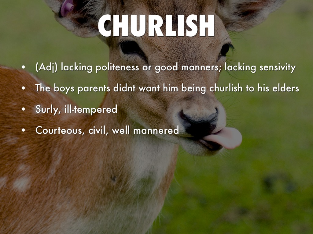 Vocab Unit 1 by Josh Fogel