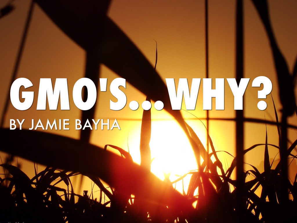 GMO Book by Jamie Bayha
