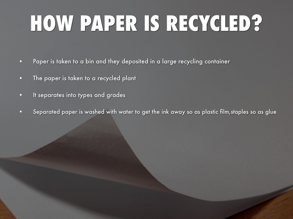 Recycling Paper by Ashley L