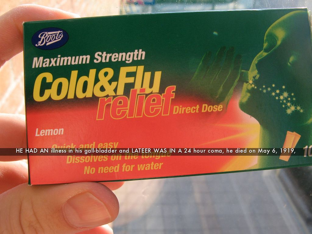 Frank Baum by Bryce Hermann