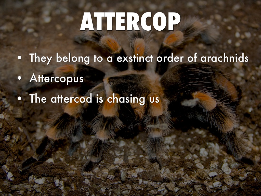 Title by Austin Larson