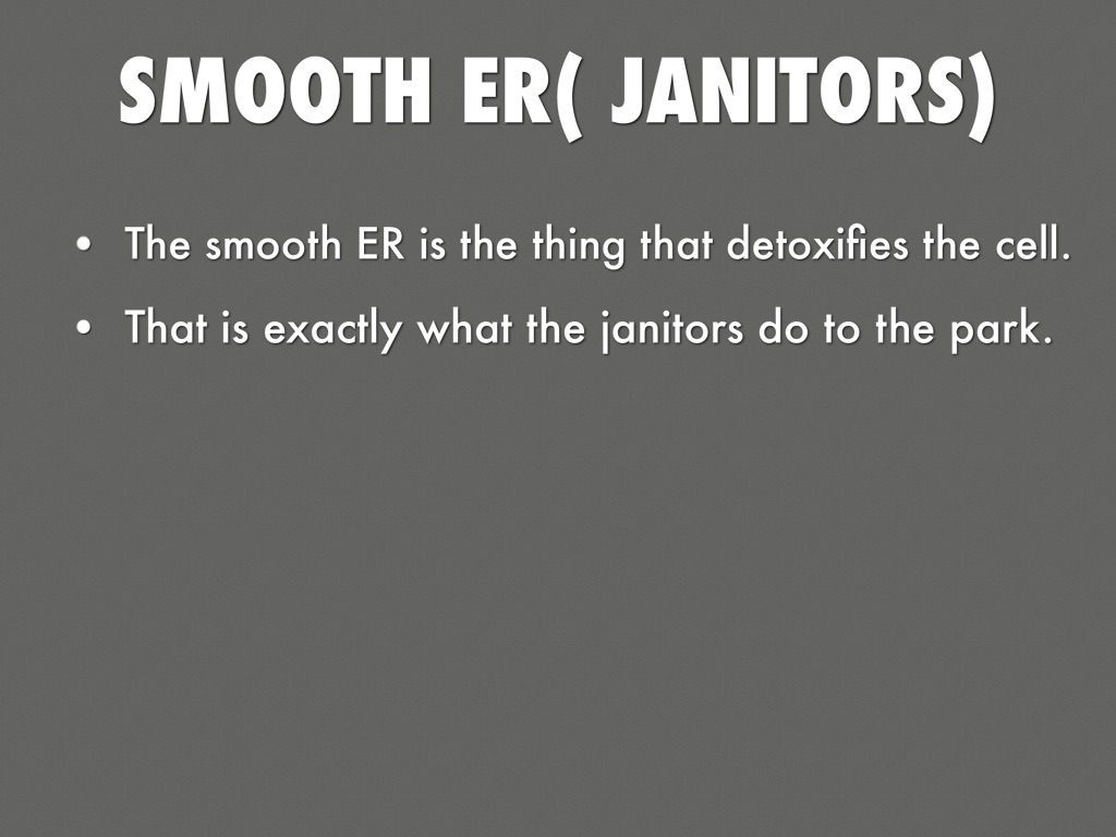 six flags cell by Natasha Ponton