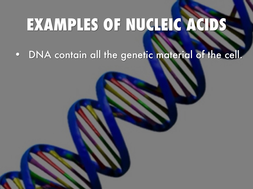 Macromolecules by allr3587