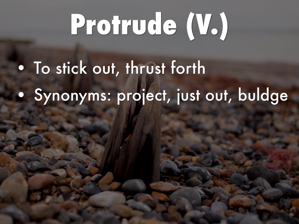 Vocab Unit 11 by mpaw112