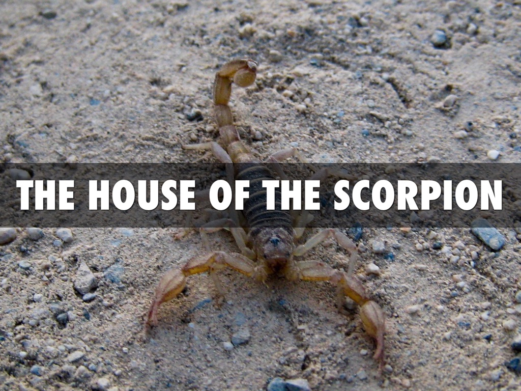 The House Of The Scorpion by Tyler Anderson