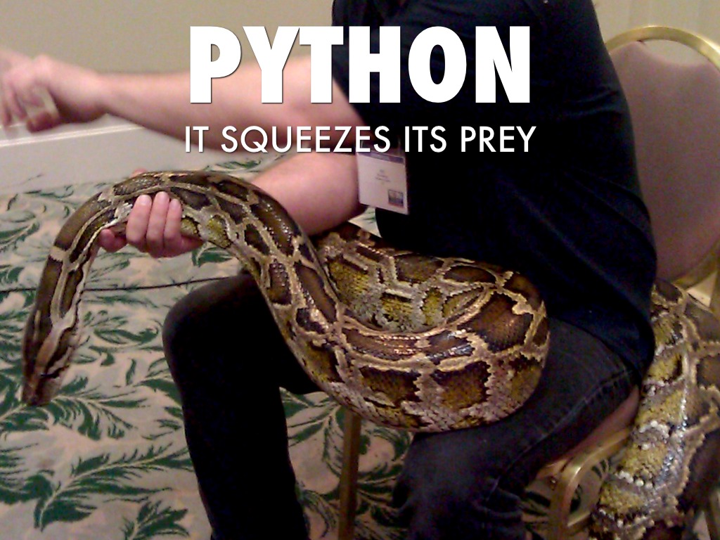 Adaptations by SJE 4th Grade Cart