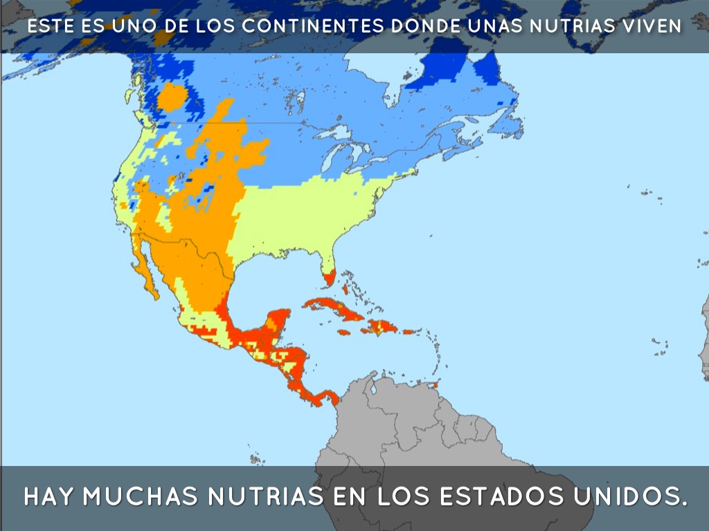 Las Nutrias by Kathleen Glenn