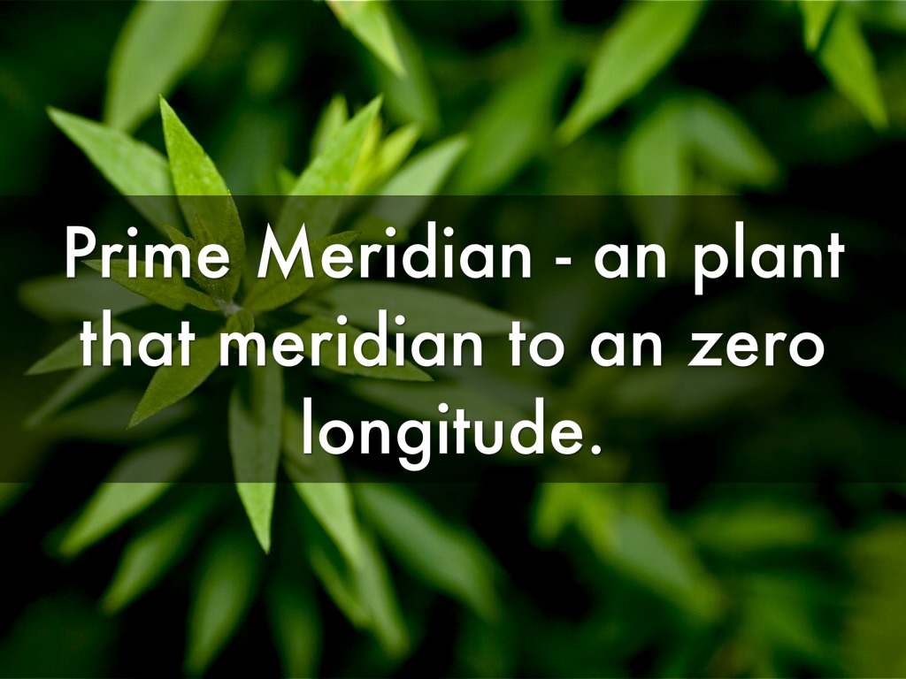 Maps by Raelyn Newson