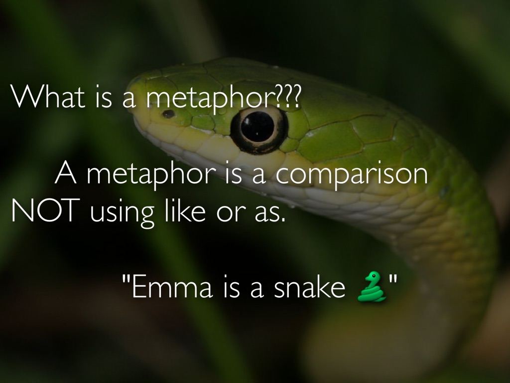 Figurative Language by Junk Mail