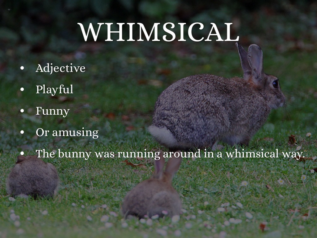 Quarter 2 Vocab. by Megan Moen