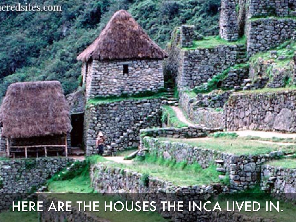 Machu Picchu by Naomi Westphaln