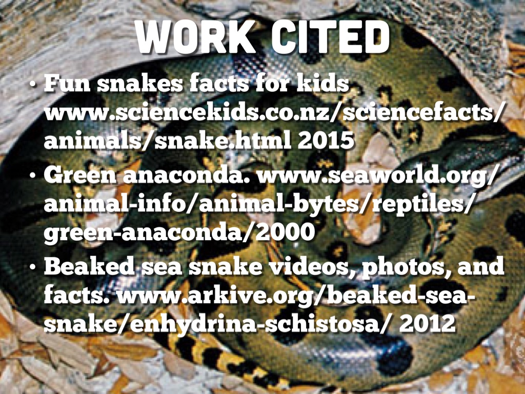 Reptiles: Snakes by Katie Cohen