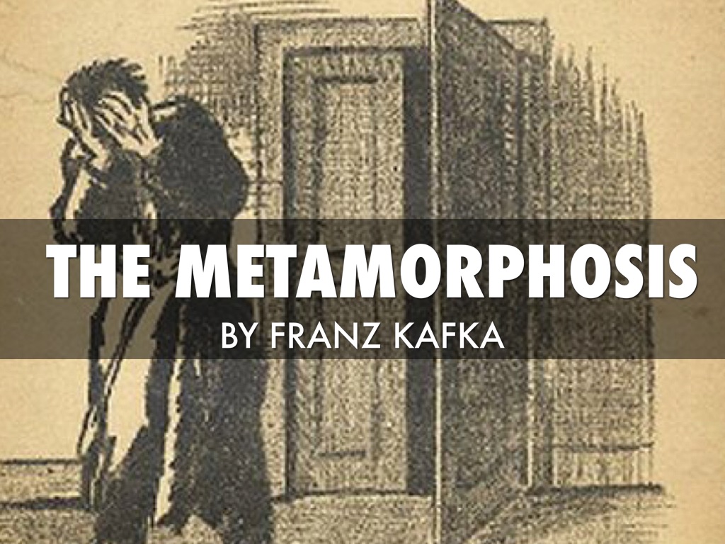 The Metamorphosis by huang.yichen