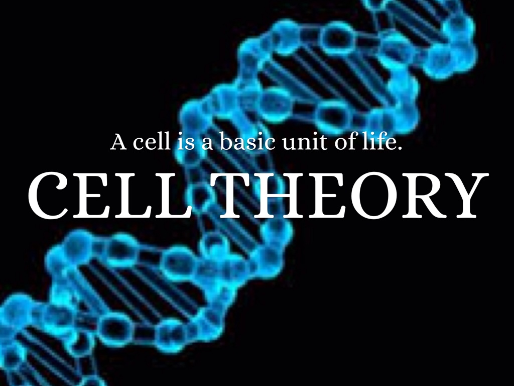 Cell Theory By Harry Levin Cell Theory By Harry Levin