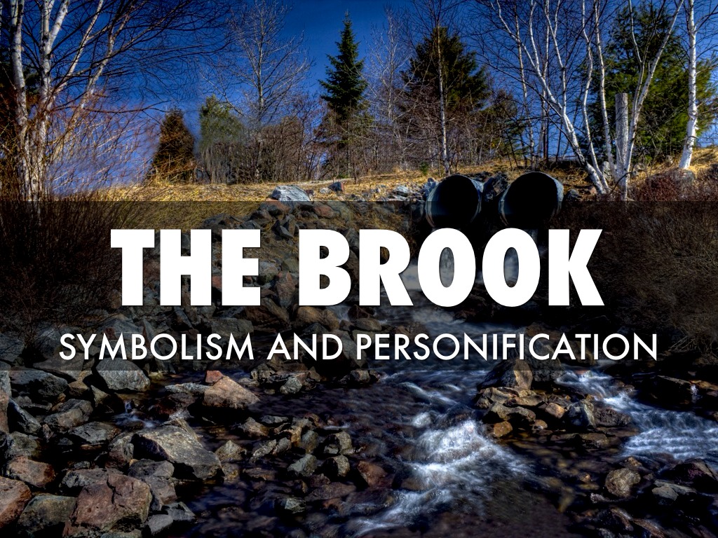 The Brook by Jairo Rodrigues