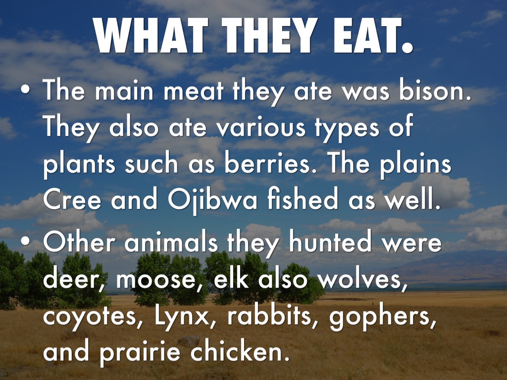 First Nations Comparison W by Zoey Conner
