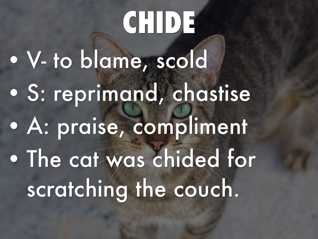 Unit 10 Vocabulary by Mac Granto