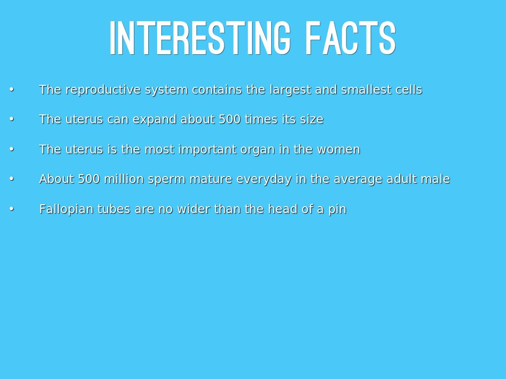 Reproductive System By 1directioner3226