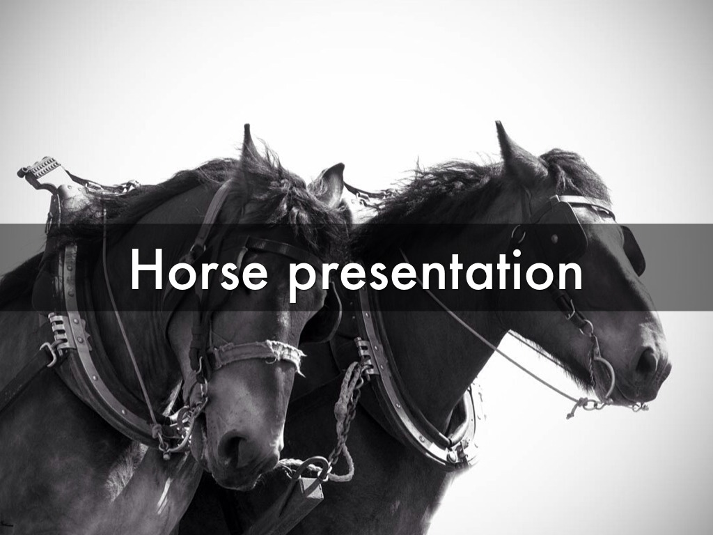 Horse Presentation by Mallory Tedder