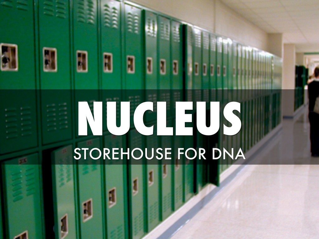 Seares Gaines P1 by Kenneth Seares