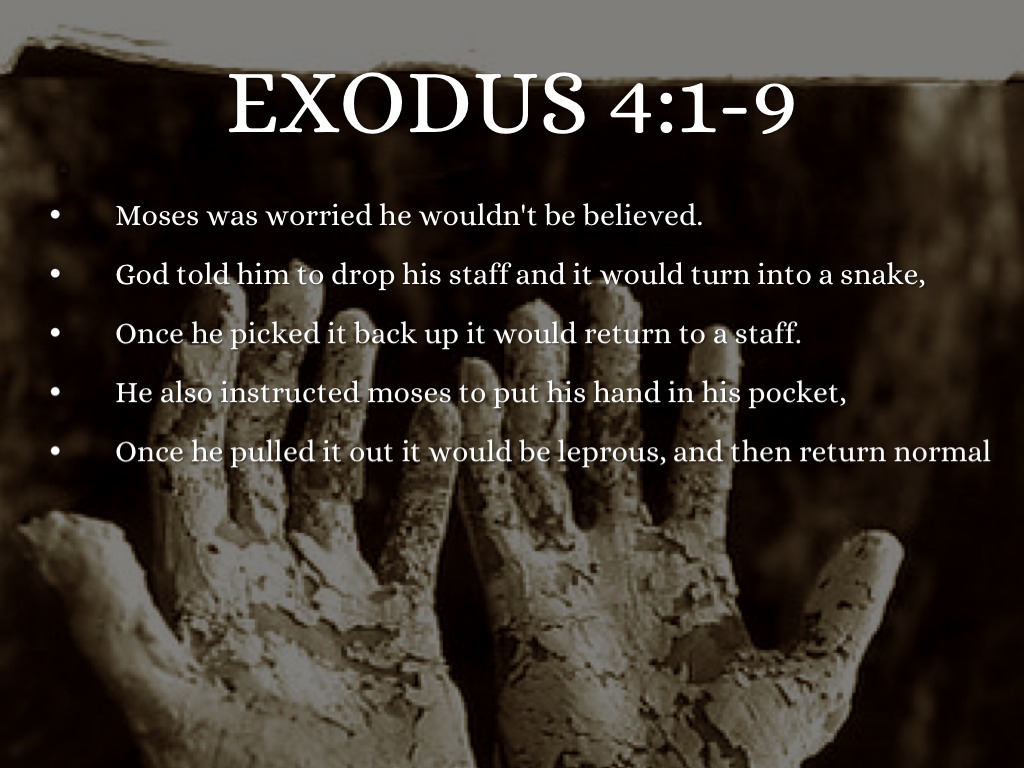 Exodus By Megan Medlin Exodus By Megan Medlin