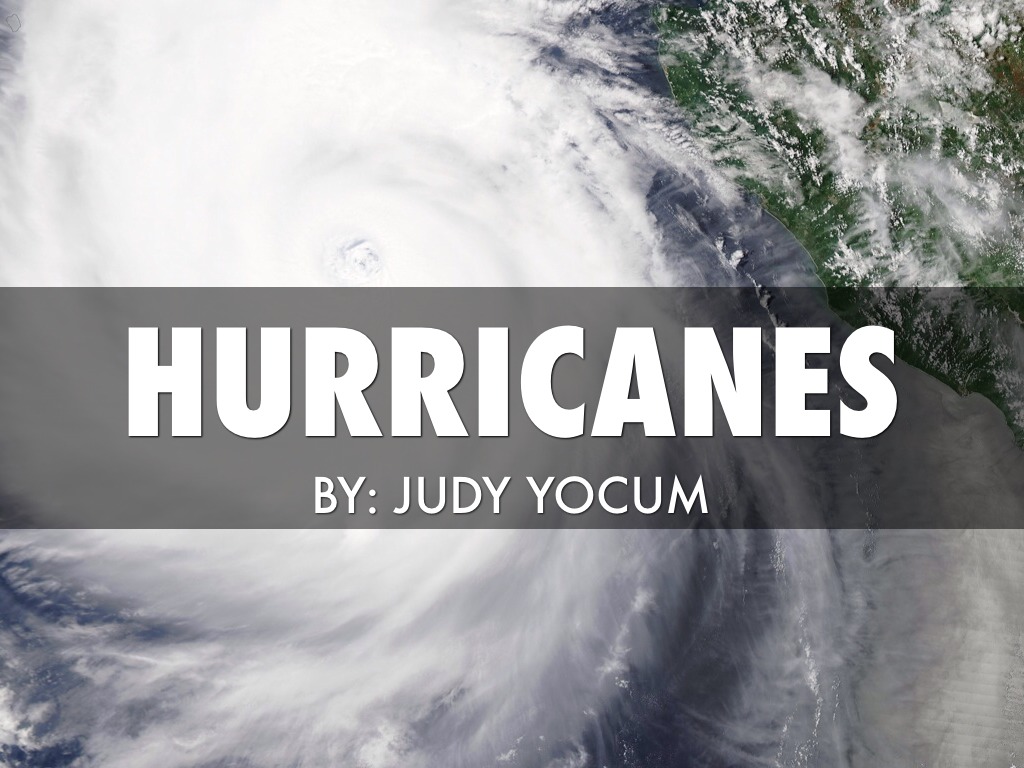 Hurricanes by Judy Y