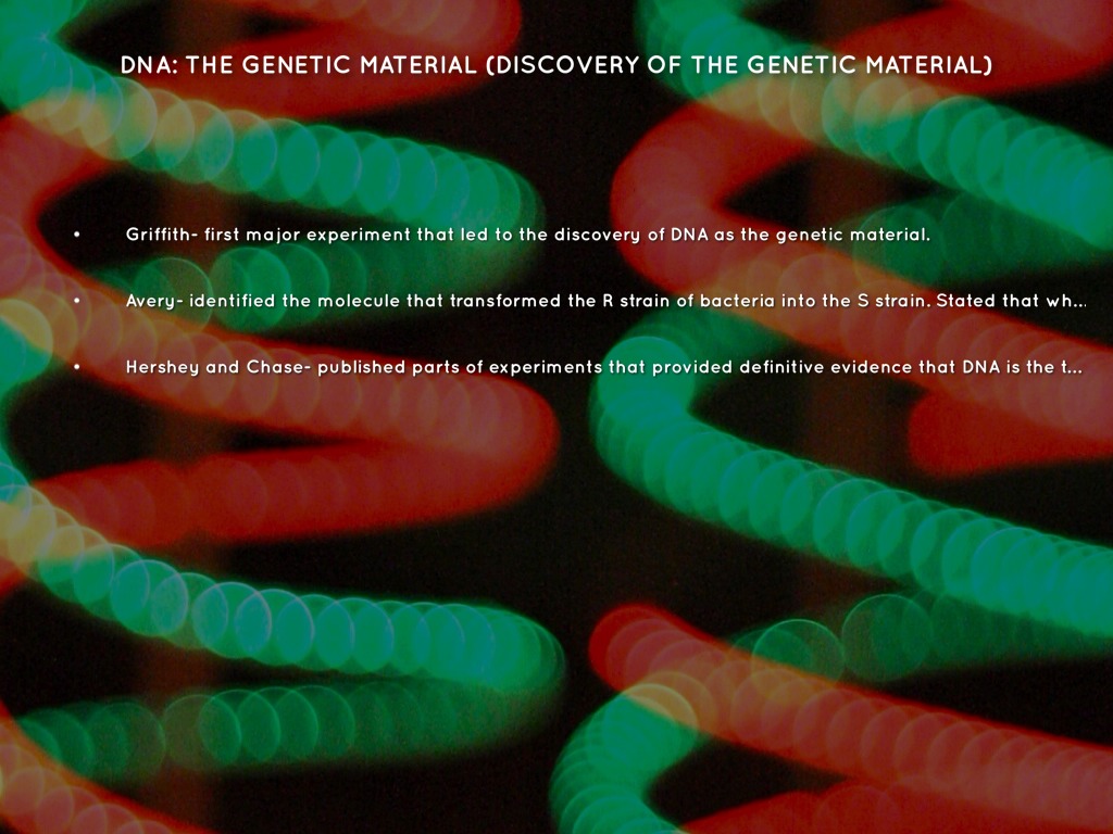 Haiku Deck In Action by Mariah Faz