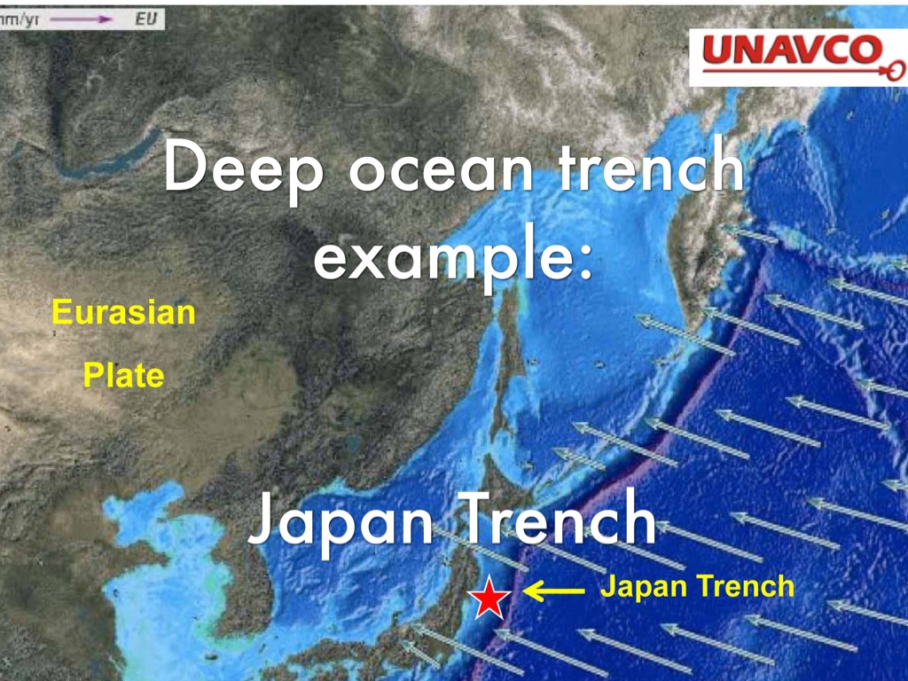 Sammy Bancroft by Sammy Bancroft