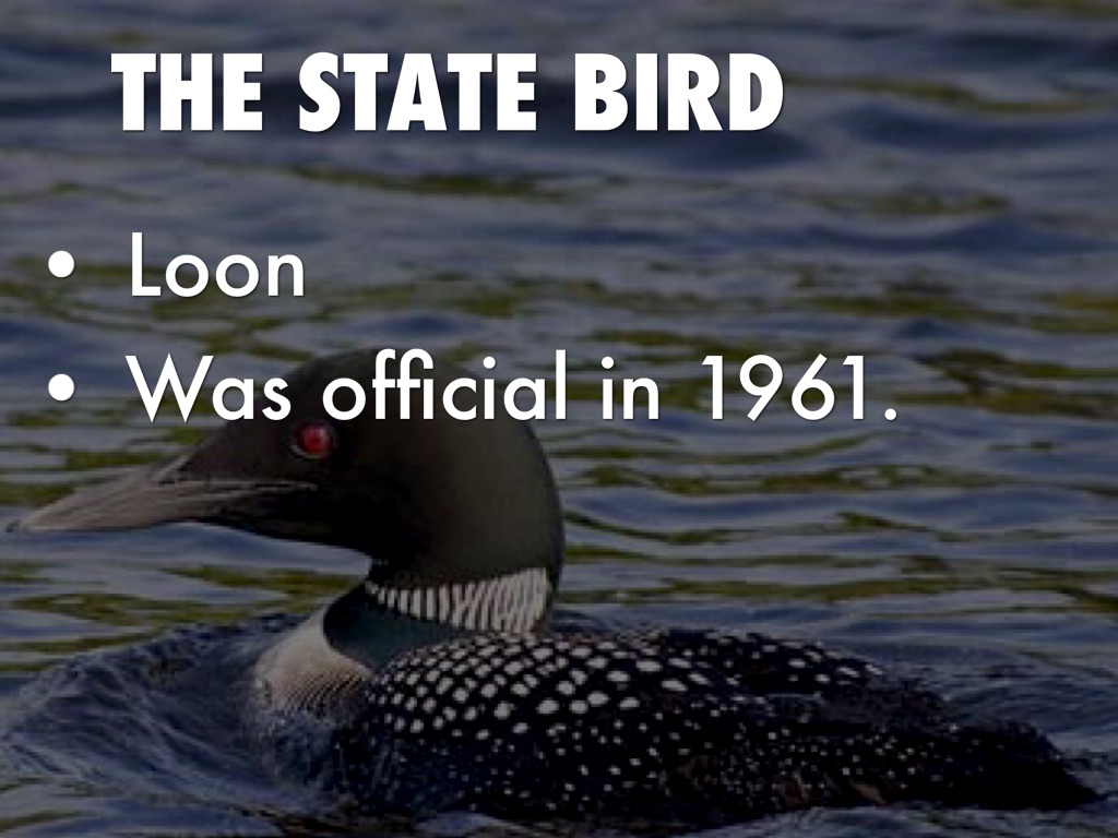 Minnesota State Official Symbols. by Logan Pattison