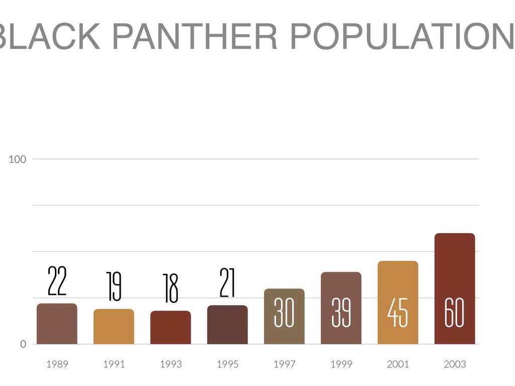 hrs.science.eireport.margotf.giseley by Gigi Yamamoto