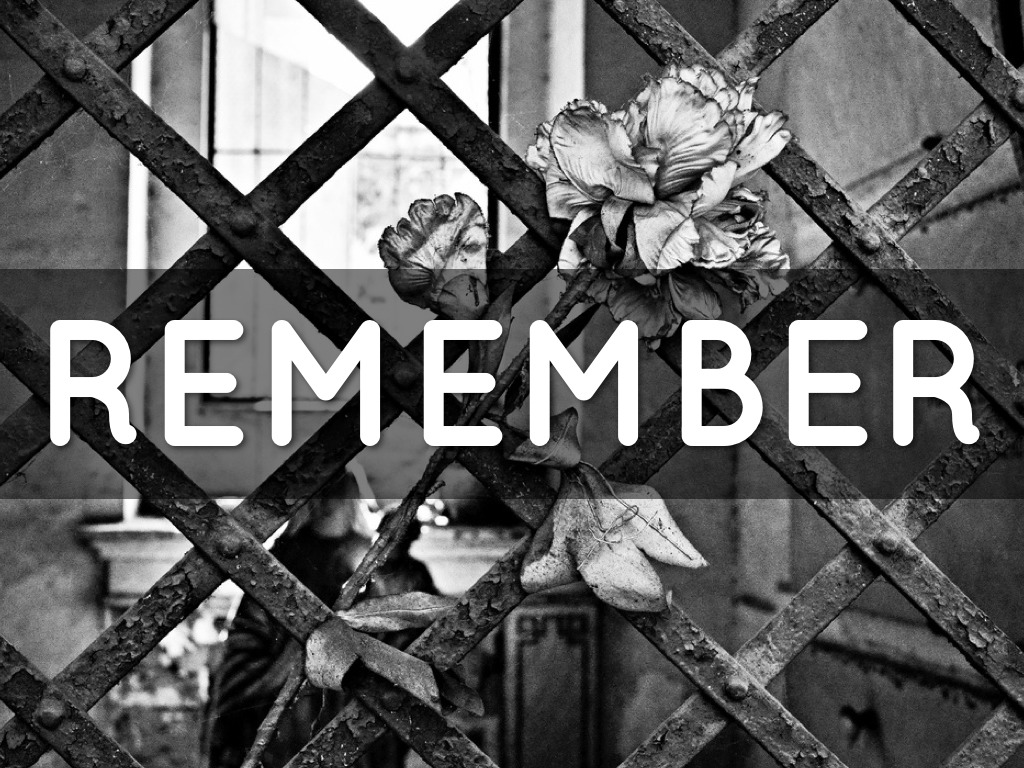 Remember: An Introduction To The Holocaust by Liz