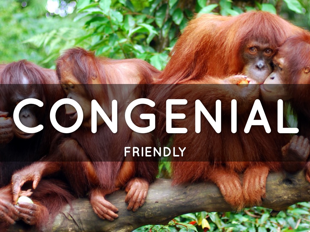 Vocabulary by Jack Frakes