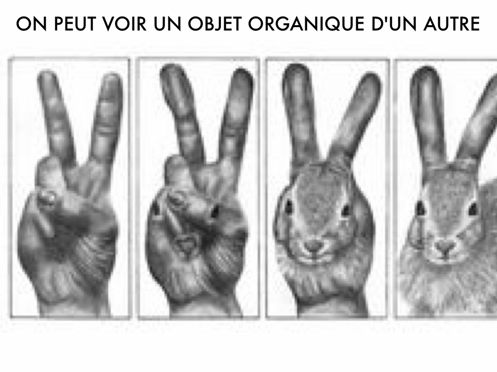 les beaux arts de métamorphose by Natasha Viens